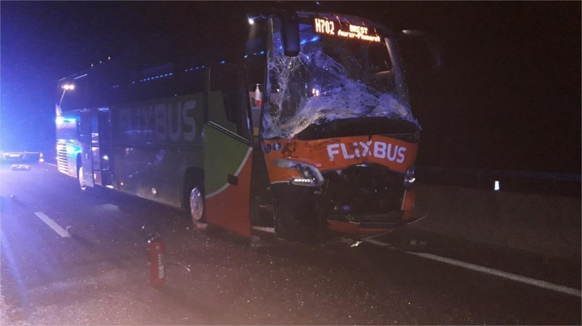 FlixBus : ce que vous devez savoir sur le géant du bus pas cher